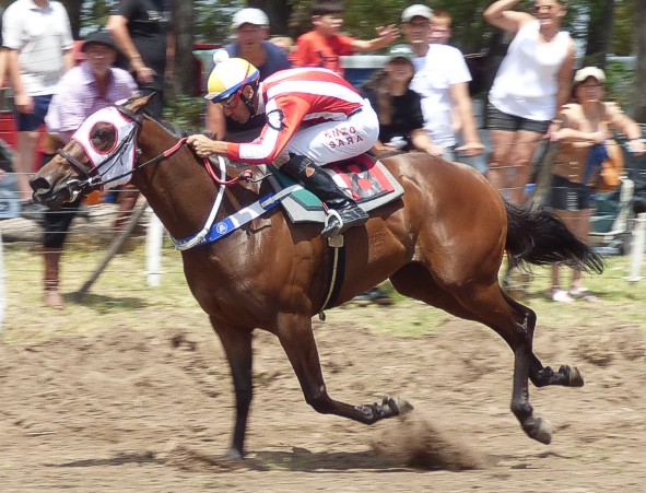 logocarlos2